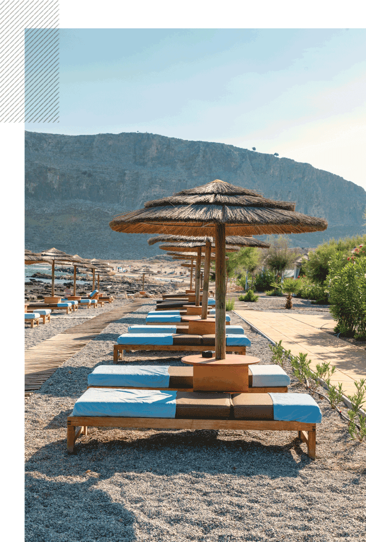 Apex Hospitality Ventures